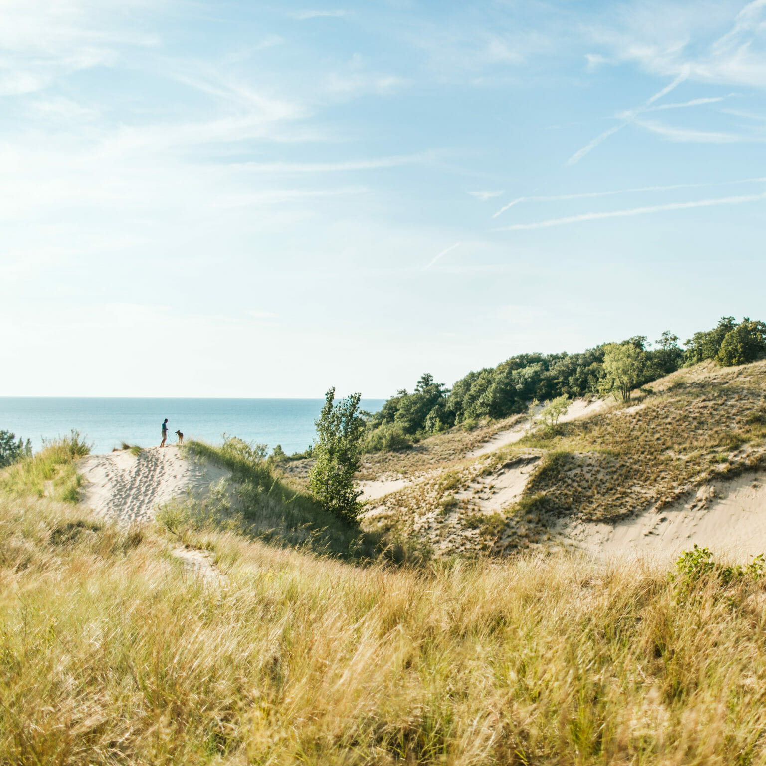 Galien River County Park | Things To Do | New Buffalo Explored